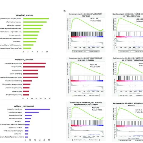 Microarray Analysis For Cd19 Icosl Cd19 Icosl B Cell Subset Download Scientific