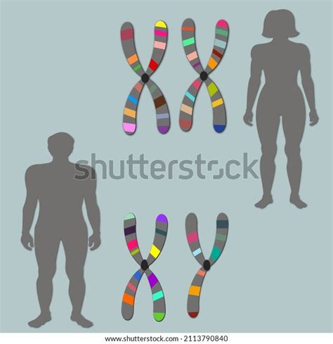 Loci Babe Images Stock Photos Vectors Shutterstock