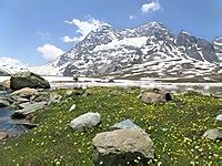 Himalayas Wikipedia