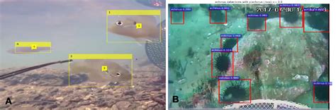 Development And Experimental Verification Of Search And Rescue Rov