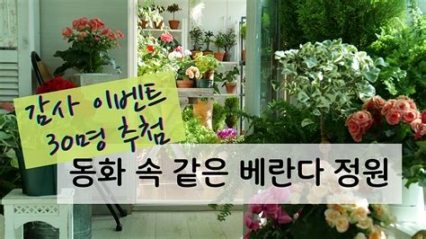 한겨울 동화같은 베란다정원 연말 감사이벤트 30명 추첨 배합 걱정 없는 최고급 흙 증정 네이버 Tv