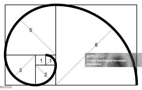 Fibonacci Spiral Or Fibonacci Succession Illustration High Res Vector