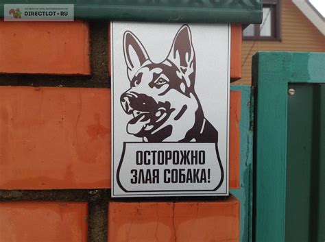 Табличка "Осторожно Злая Собака купить в Москве цена 300 Р на DIRECTLOT ...