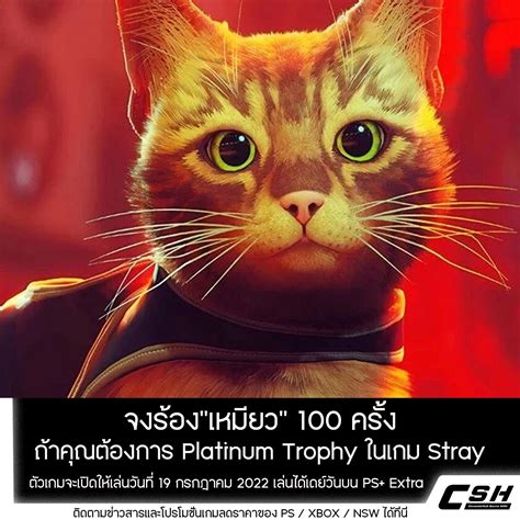 Console Hub Stray ต้องการให้เราทุกคนกดเสียงร้อง เหมียว