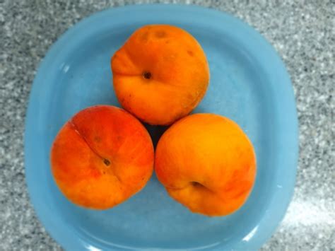 복숭아 주스 만들기