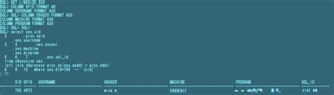 【oracle】osプロセスid pid とoracleのsid、sql idの紐付け方法【linux】 se備忘log