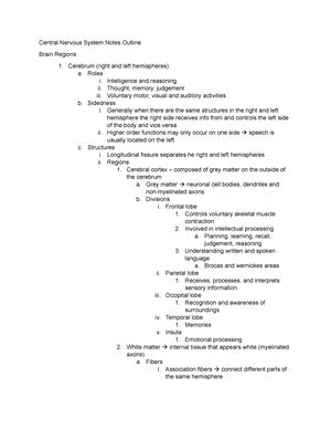 Neuron Structure And Resting Membrane Potential Neuron Structure And Resting
