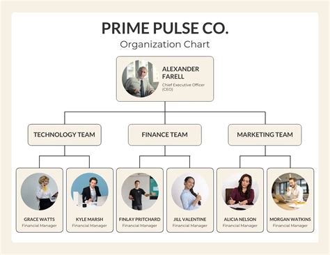 Functional Organizational Chart Template