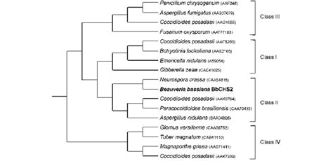 Unweighted Pair Group Method Using Arithmetic Averages Upgma