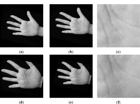 Figure 1 From Palmprint Recognition Across Different Devices Semantic