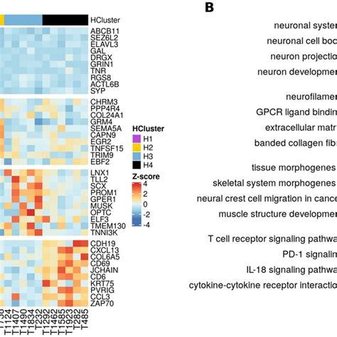 Enriched Genes And Pathways In 4 Clusters A Heatmap Of Top 10 Download Scientific Diagram