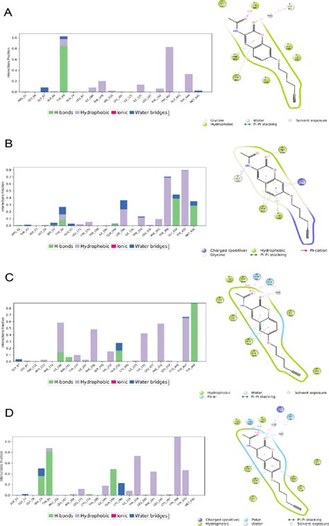 Protein Ligand Interactions Diagrams And 2 D Representation Of The