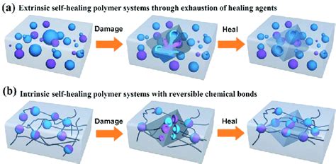 How Bio Inspired Semiconductors Can Enable Unbreakable Phones Techovedas