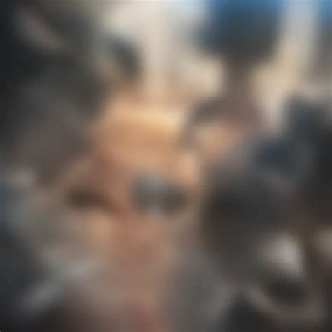 Understanding The Human Genome Structure And Implications