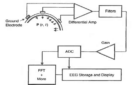 EEG Recording Components Download Scientific Diagram
