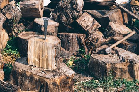 도끼 도끼는 통나무에 갇혀 백그라운드에서 자작 나무 장작 0명에 대한 스톡 사진 및 기타 이미지 0명 강철 고기 칼 Istock