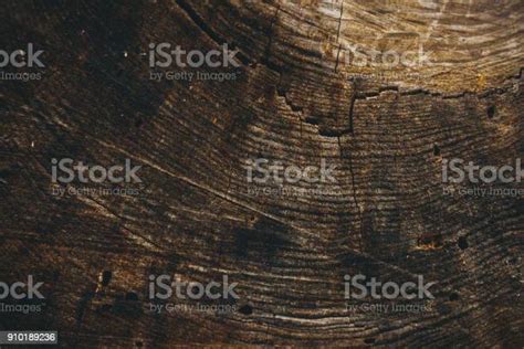 나무 텍스처와 배경 잘라 나무 트렁크 배경 나무 줄기 닫습니다 잘라 나무 트렁크 텍스처의 매크로 보기입니다 나무 질감 및 그래픽