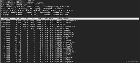 Linux操作系统——进程控制（三） 进程程序替换linux 父进程获取子进程的环境变量 Csdn博客