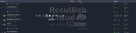 Configure Custom Environment Variables Accuwebcloud
