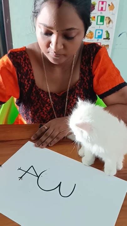 Youtubeshorstvideo Shortvideo Cute Art Drawing Tom🍓jerry💞 Youtube