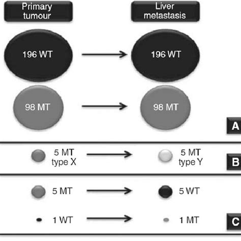 Overall Concordance Of The Kras Mutation Status Between Primary Tumour Download Scientific