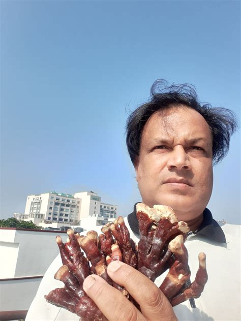 Ganoderma Babes By Fateh Singh Pokharna On 25 September 2022