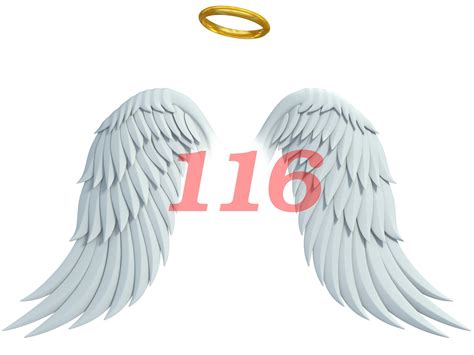 What Is The Meaning Of The 116 Angel Number Thereadingtub