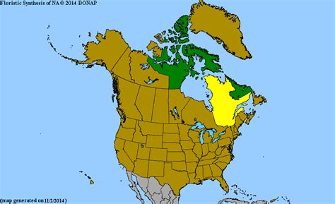 2013 Bonap North American Plant Atlas Taxonmaps