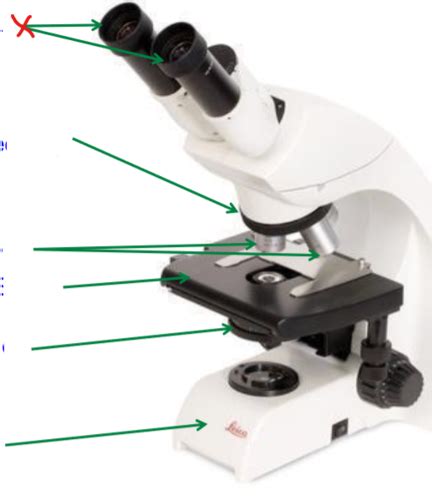 Lab A Microscope Review Flashcards Quizlet