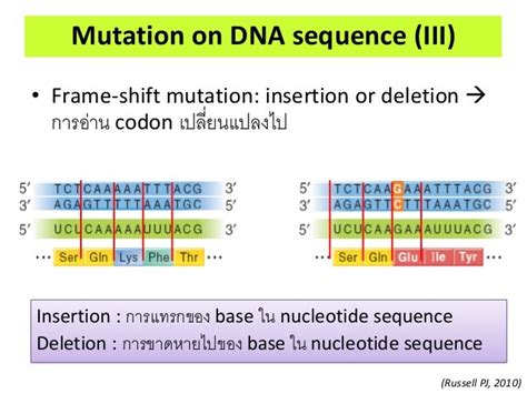 mutation and dna repair