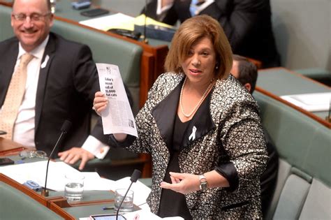 Gambaro Spruiks Cross Party Same Sex Marriage Bill That Abbott Will Bury