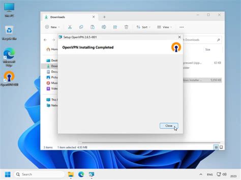 Openvpn Gui On Windows 1011 Vpn Instructions Vpnlux