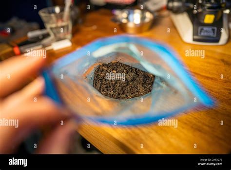 Working In A Soil Lab Iwth Soil Samples Testing A Soil Test In Australia Stock Photo Alamy