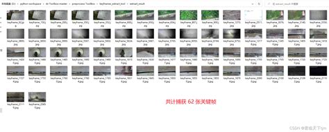 视频提取关键帧的三种方式【已调通】 视频关键帧提取 csdn博客
