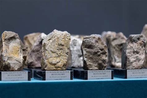 Cpp Prema Sa Partners With The Central Hydrogen Cluster Cpp Prema