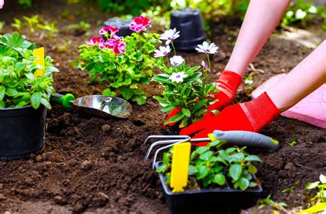 Flower Gardening