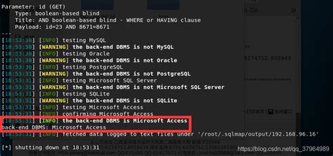sqlmap常用命令总结及注入实战（access、mysql） sqlmap注入命令大全 csdn博客