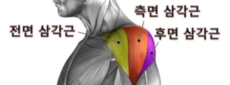 헬스 어깨 운동 네이버 블로그