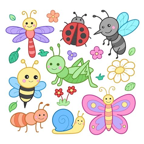 Premium Vector Bugs And Insects Vector Illustration