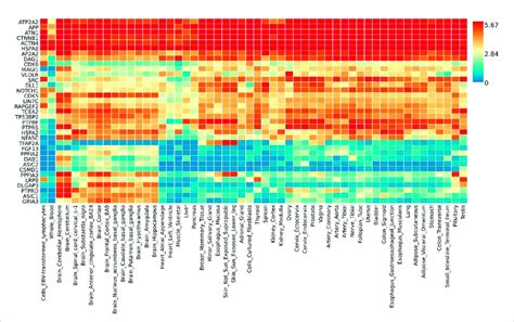 shared gene expression heatmaps constructed with gtex v8 54 tissues