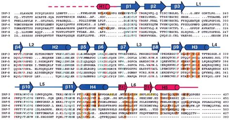 Sequence Alignment Of The C Terminal Transactivation Domains Of Human Download Scientific