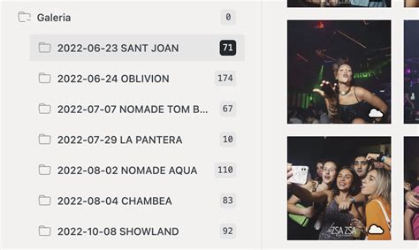 Query Loop Of Happy Files Folders Not Showing Media In Translated Pages