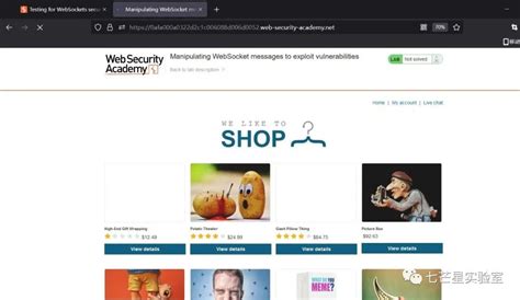 Websocket攻防对抗安全指南 腾讯云开发者社区 腾讯云