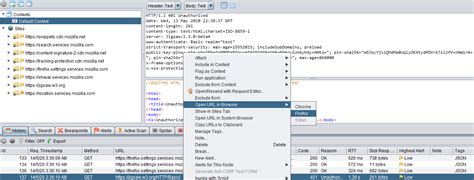 Session Adding Authentication In Zap Tool To Attack A Url Stack