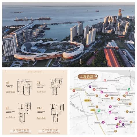 上港集团党建网