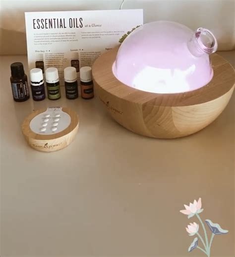My FAVORITE Diffuser Essential Oils Kit Say Jess Please