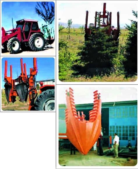 Tree Uprooting Machines Ca Peyzaj
