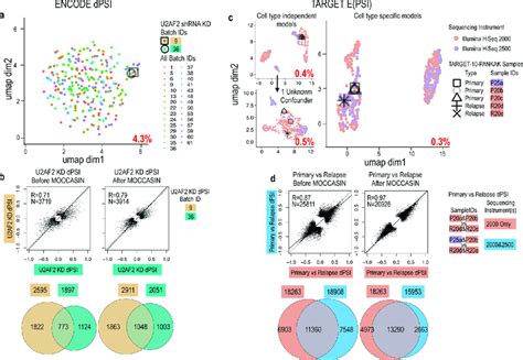 batch correction of target and encode datasets a umap plot for encode