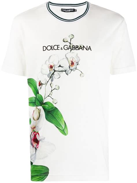 Футболка dolce gabbana (80 фото) - картинки и фото fashionhot.club