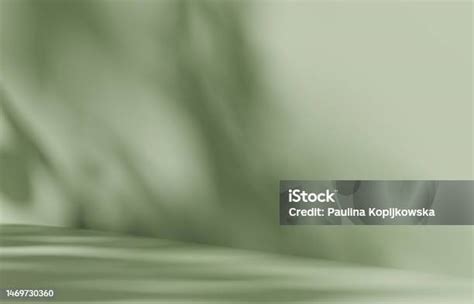 3d 배경 디스플레이 자연 나무 잎 그림자 파스텔 녹색 배경 자연 제품 홍보 미용 화장품 스튜디오 미니멀 쇼케이스 3d 렌더링 광고 0명에 대한 스톡 사진 및 기타 이미지